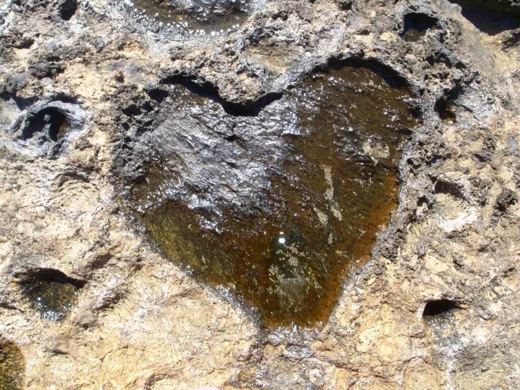 The Hidden Jewels at Constance Hotels & Resorts | Constance Hotels ...